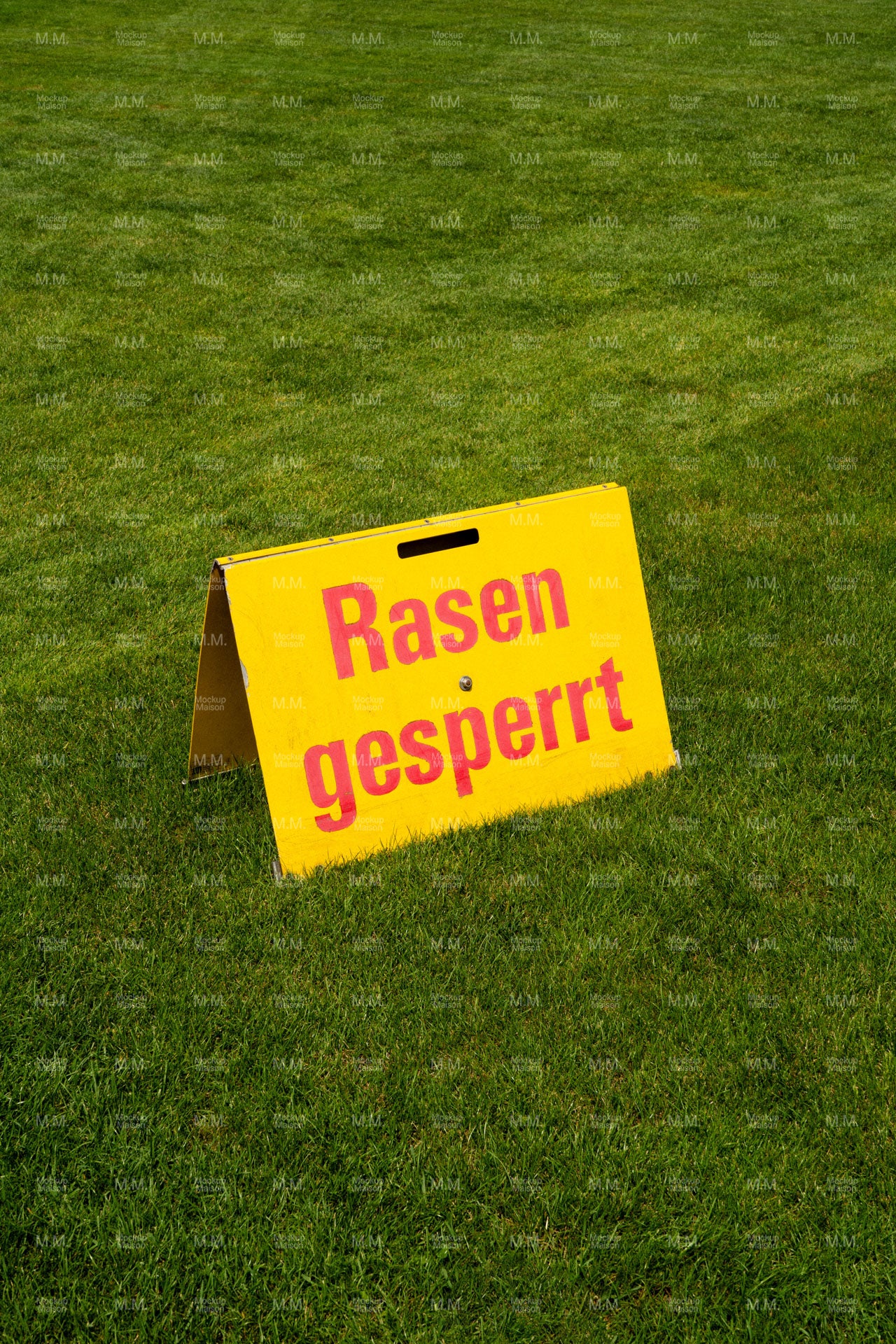 Field Stock Image SI-SPT-23 – Mockup.Maison